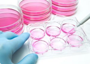 Microplates - Porvair Sciences