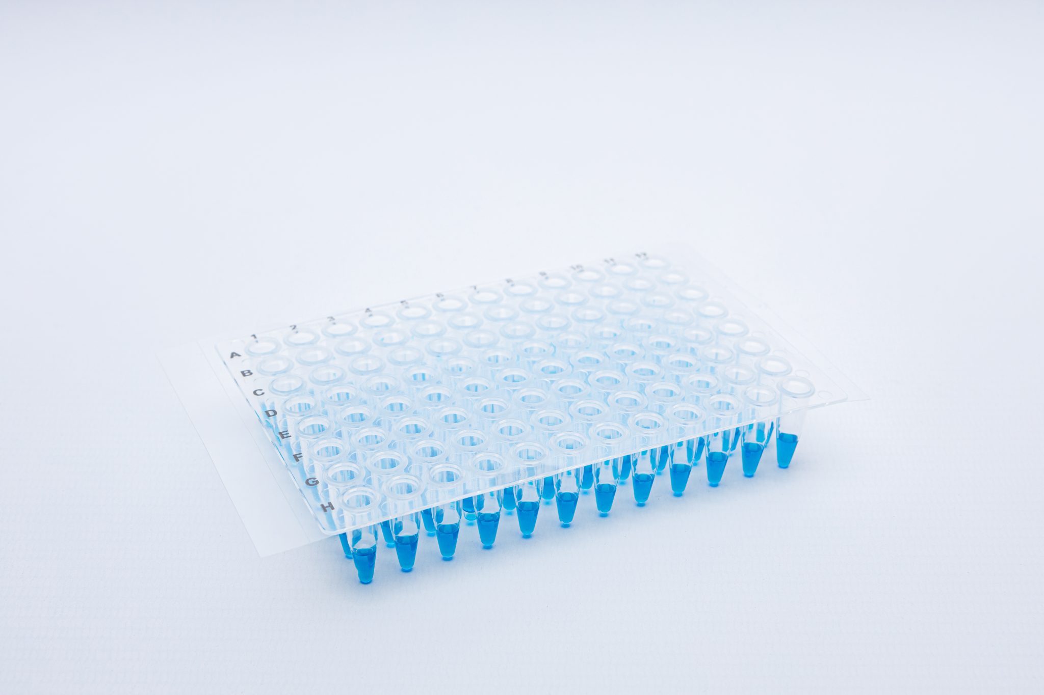 Adhesive Seal Micro - Lab Sheet - Porvair Sciences